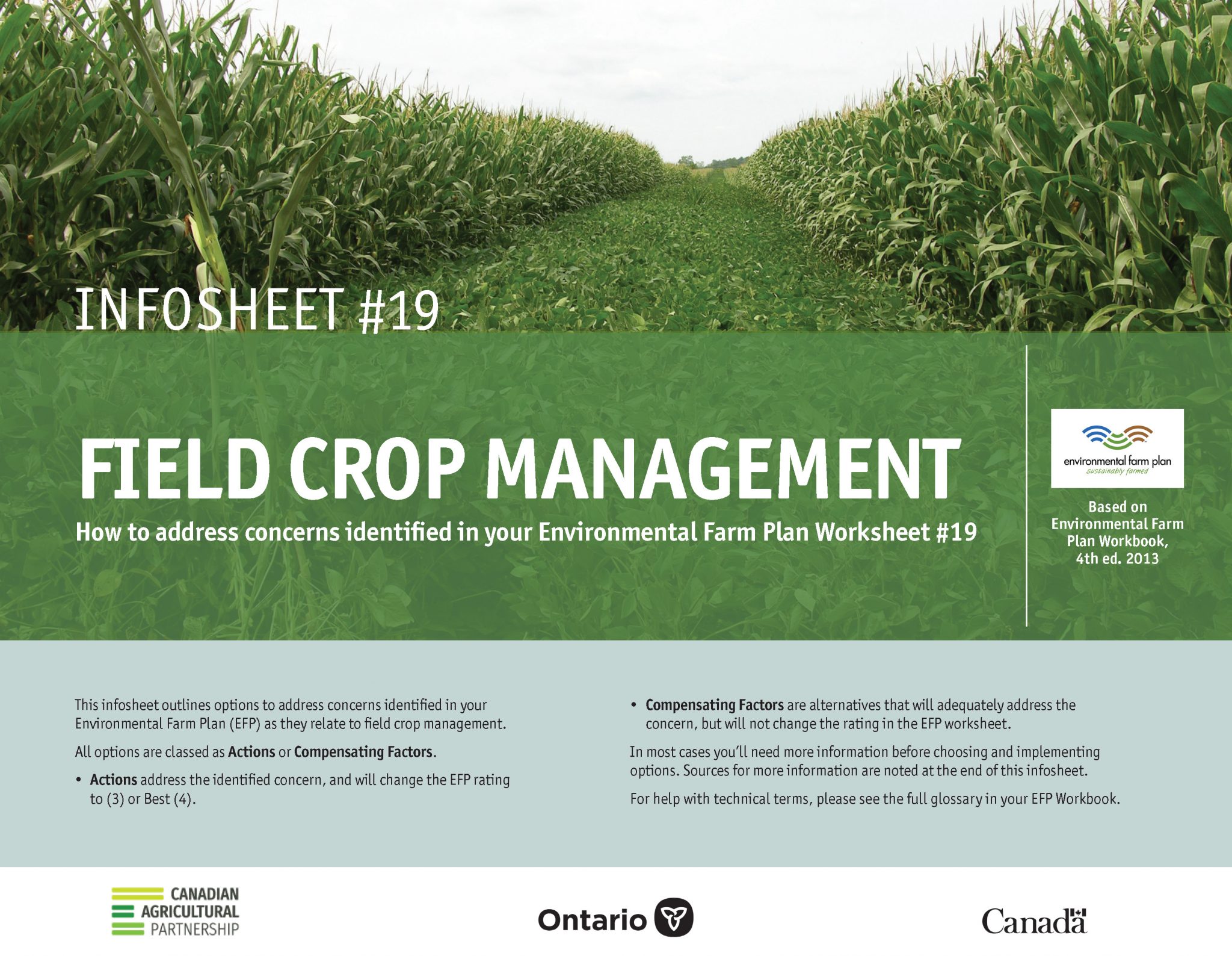 Canada-Ontario Environmental Farm Plan - Ontario Soil Crop