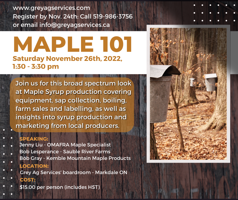 Maple Syrup 101 | OSCIA