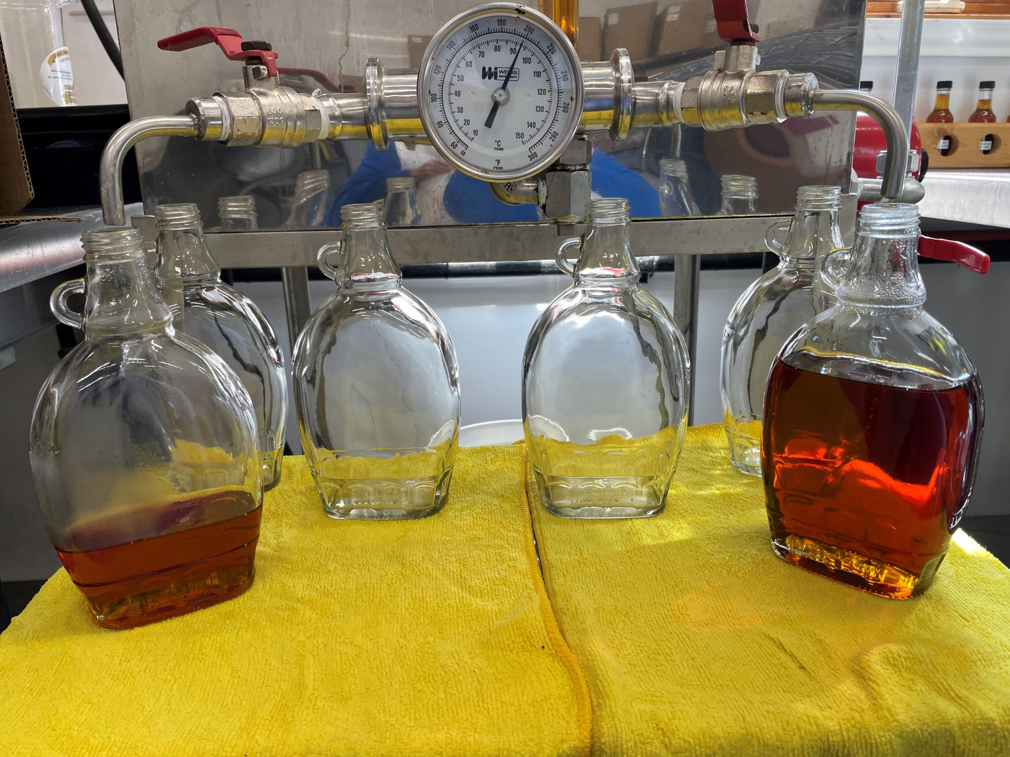 Maple Production Improvement Initiative - Ontario Soil Crop